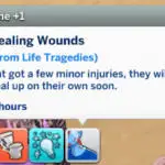 Sims 4 Life Tragedies Mod Guide - Sim Guided